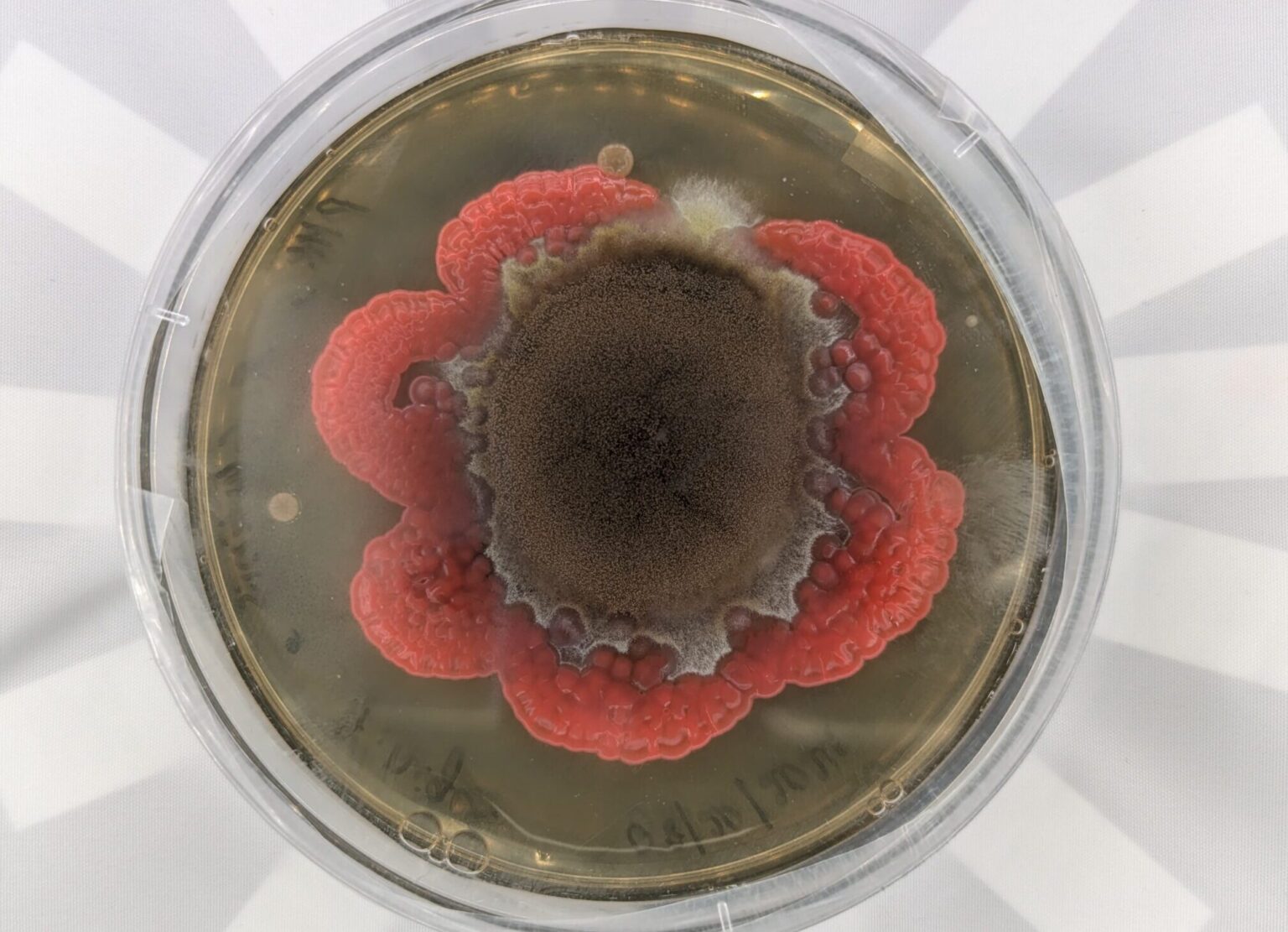 Wet Lab Makerspace - Northeastern Makerspaces